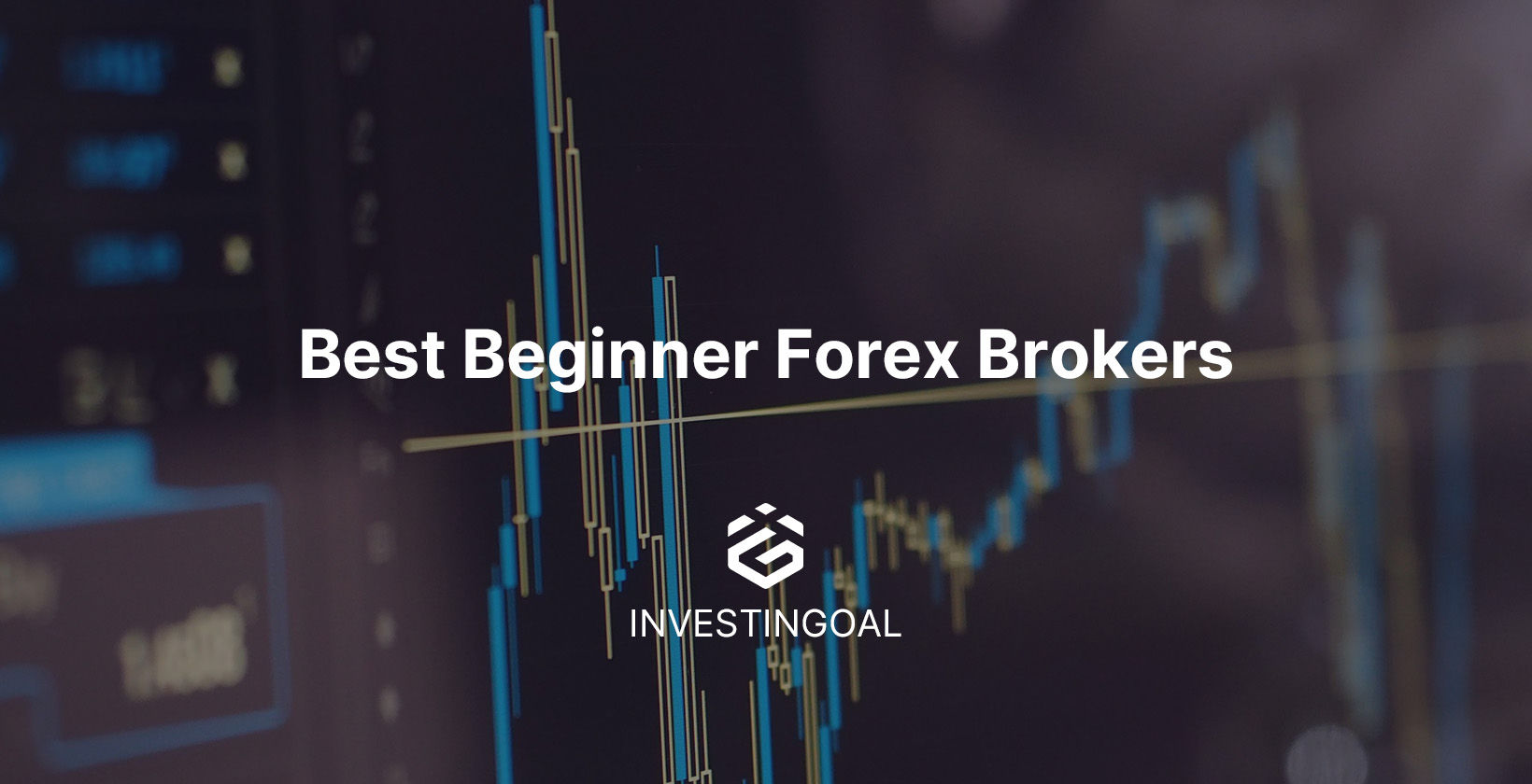 10 Best Beginner Forex Brokers (2026)