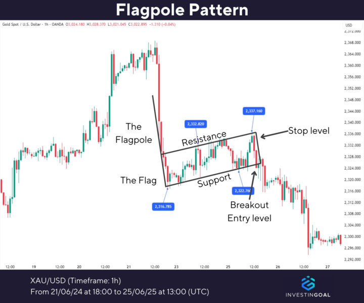 Flag Pattern: Meaning, How it Works, Types, and Trading